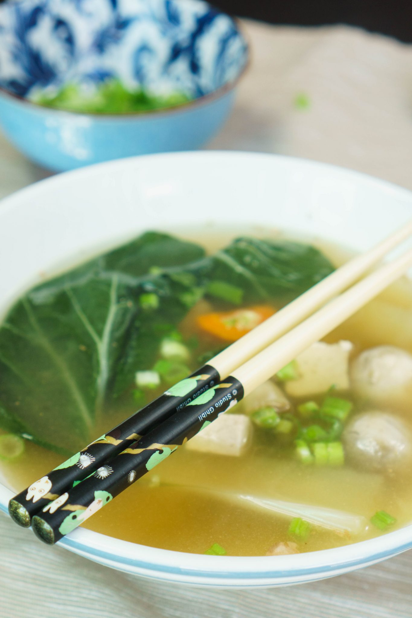 Miso Soup with Tofu and Vegetables - The Cookware Geek