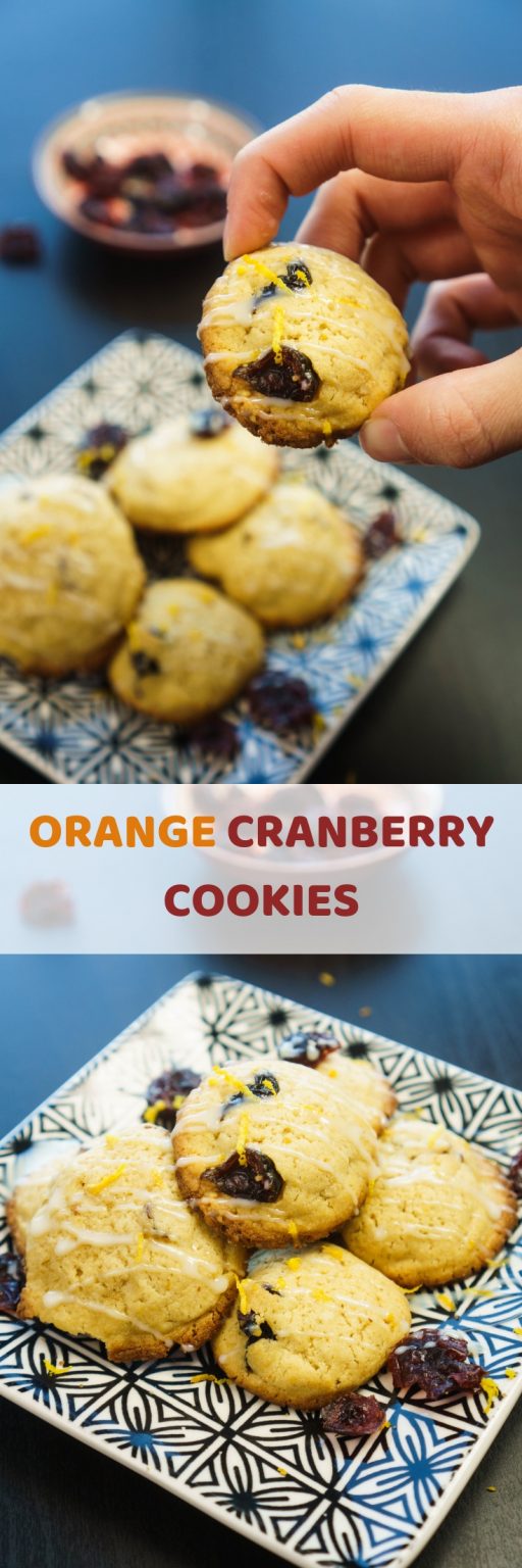 Orange Cranberry Cookies - The Cookware Geek