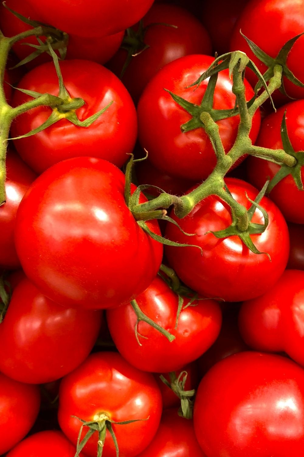 Plum Tomatoes - Why Are They So Special? - The Cookware Geek