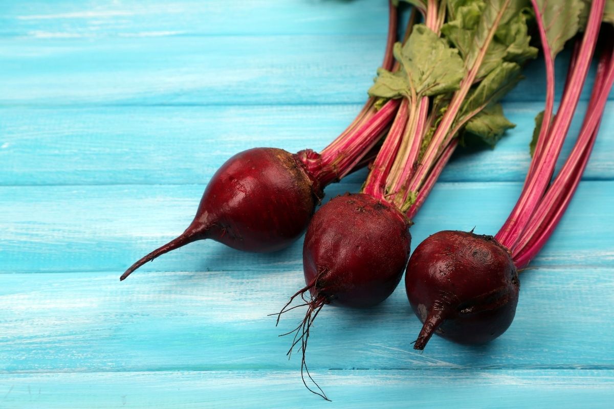 Vegetable stems that we can eat safely - A guide to edible stems - The ...